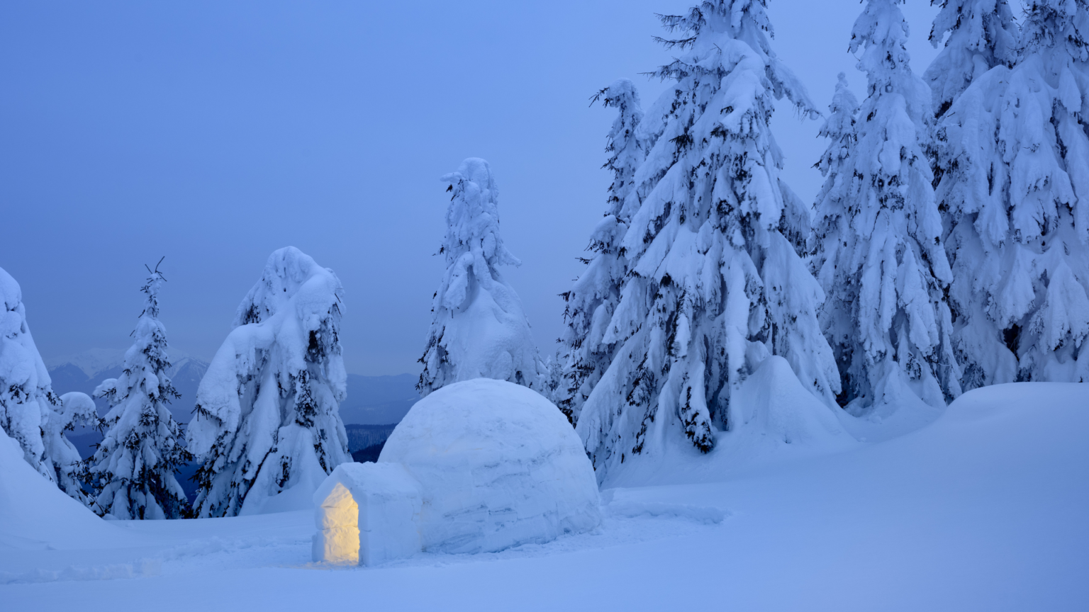 Eskimo Survival How Eskimos Survive In The Ice Cranky Yankees